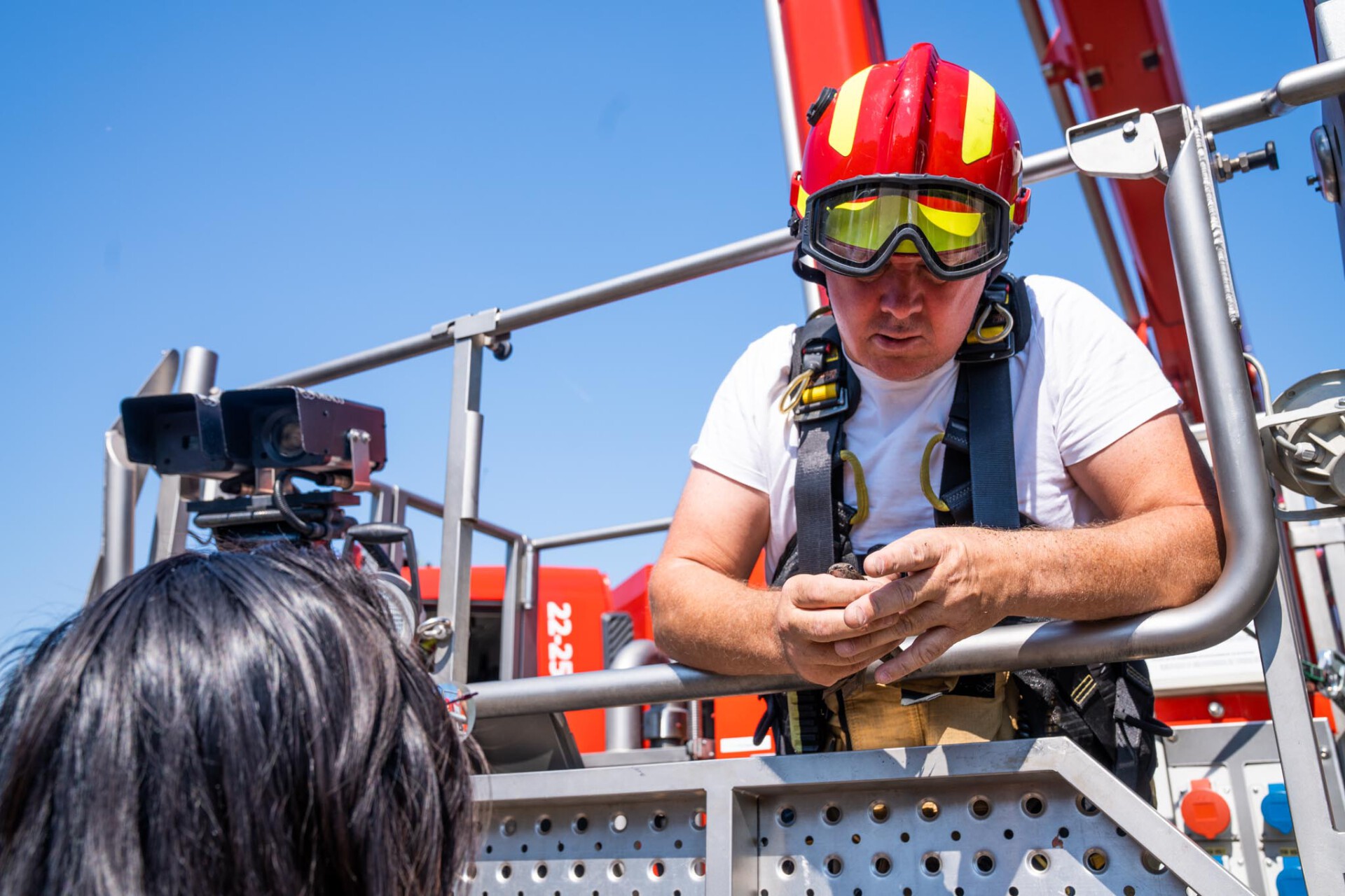 Brandweer redt vastzittende Zwaluw op dak - 112Brabant