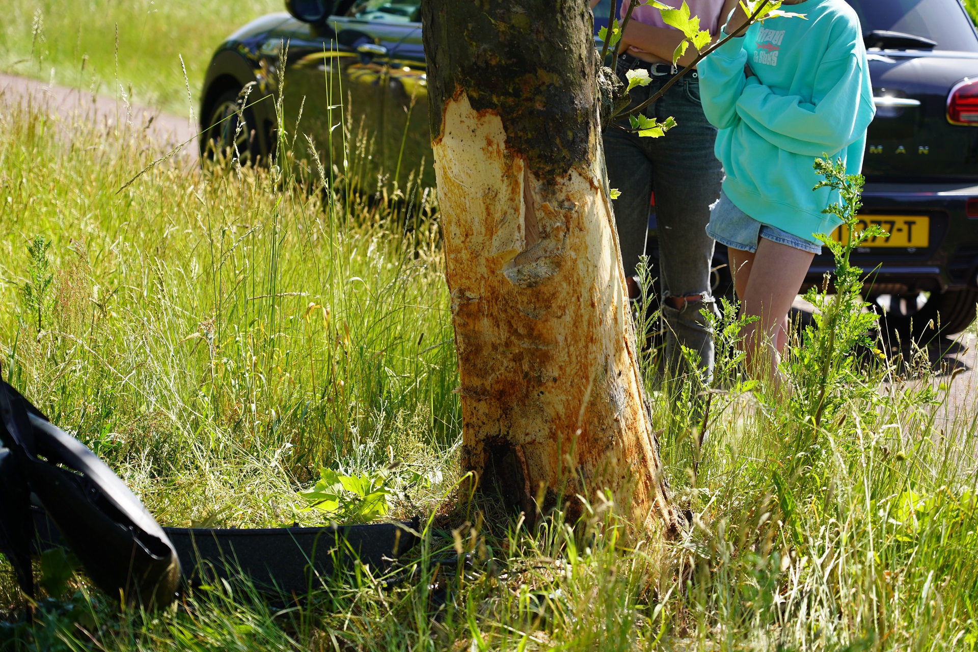 Automobiliste verliest macht over het stuur en klapt tegen boom - 112Brabant